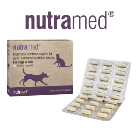 nutravet International – Developed by Vets for Vets
